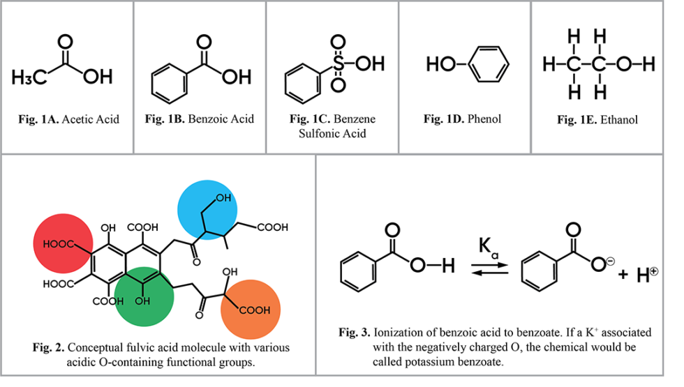 Why Are Humic Substances Called Acids? - Mesa Verde Humates